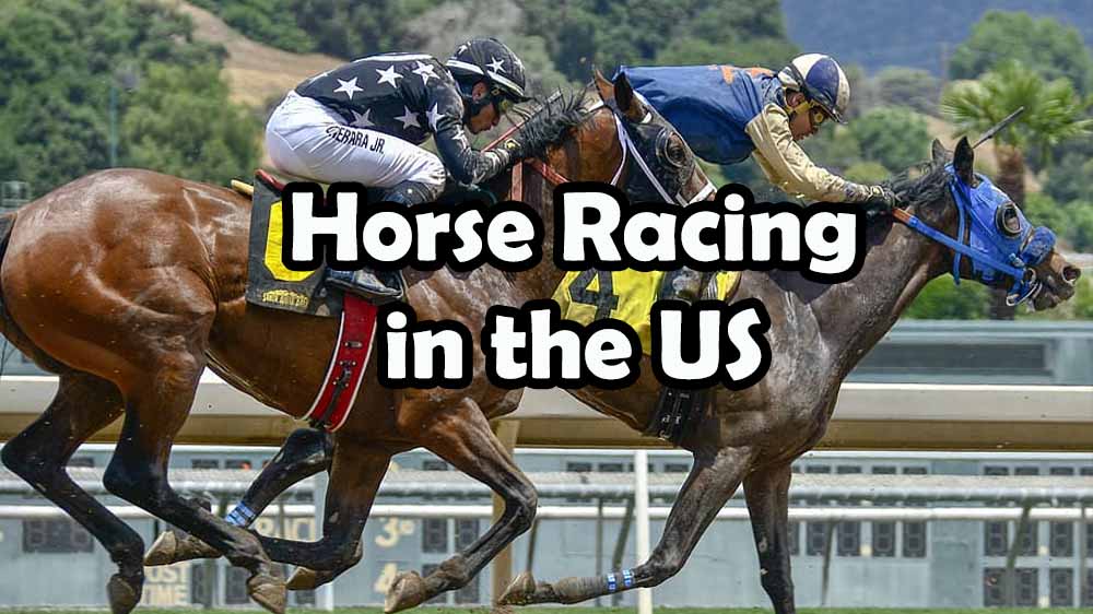 Horse Races In The US: From Claims To Stakes - Jackpotfinder