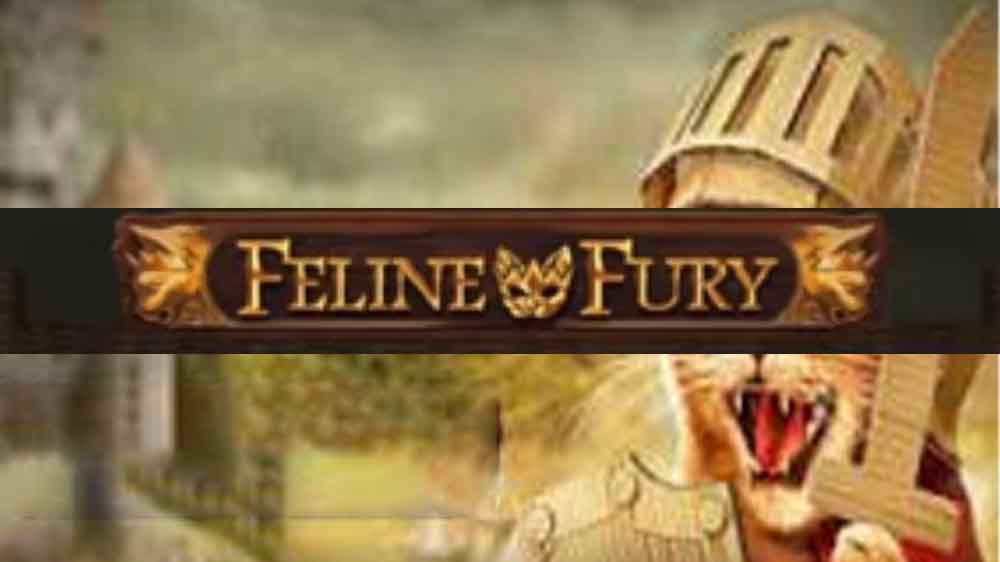 Feline Fury Jackpot Analysis Slot Review: A Play'n Go Title - Jackpotfinder