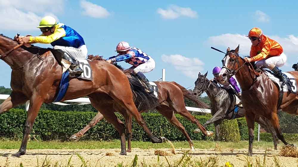 Las Vegas Horse Racing Industry: Why There's None - Jackpotfinder