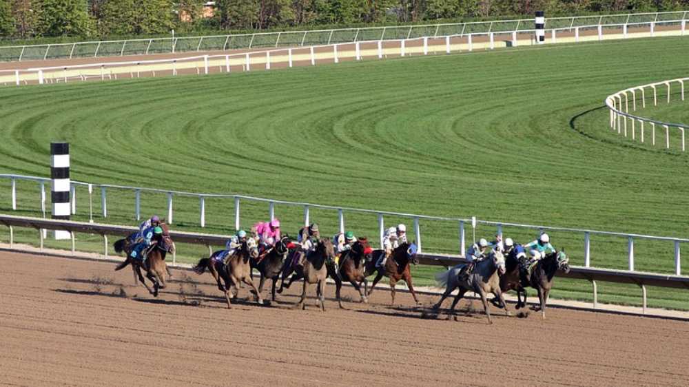 Horse Race Bets With The Biggest Potential Payouts