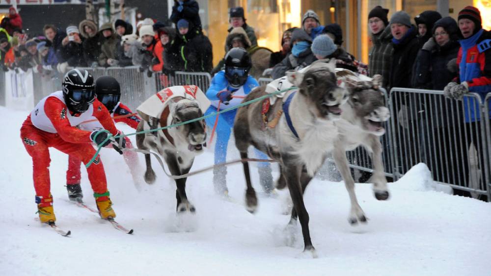 Animal Betting - Unique Animal Sports From Around The World