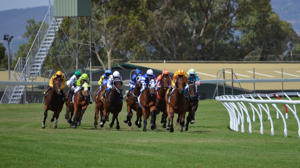 US Horse Races - The Different Types, Classes, And Statistics