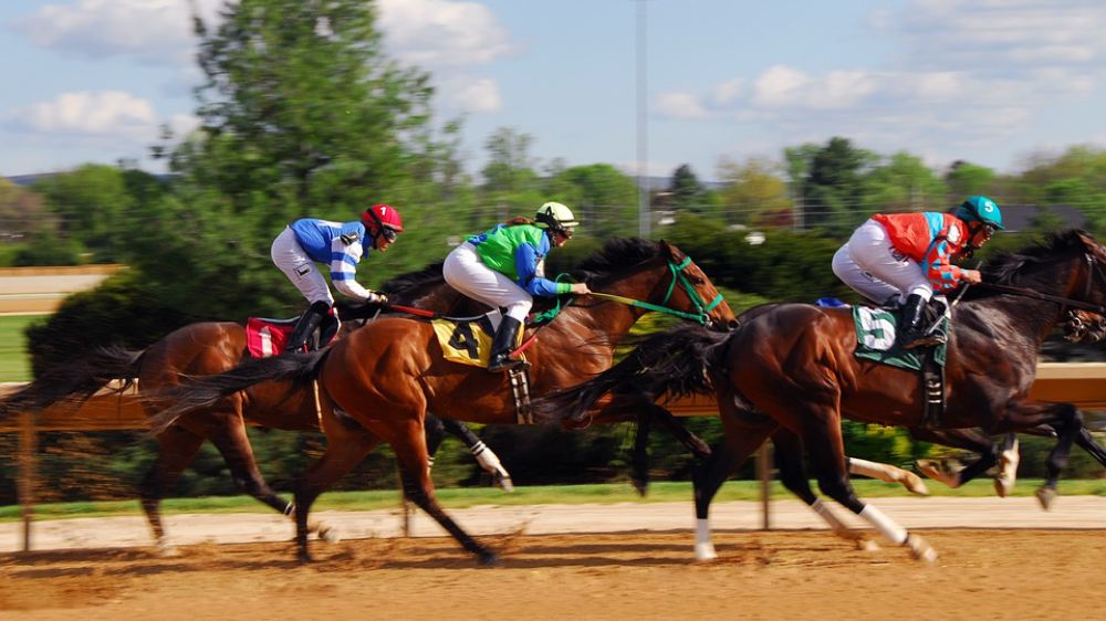 US Horse Races - The Different Types, Classes, And Statistics