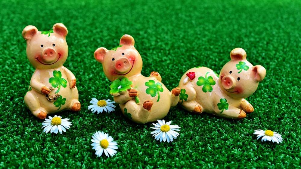 Lucky Creatures - Animals That Bring Good Fortune