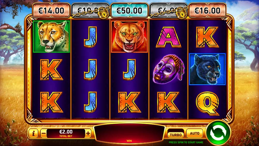 African Cats Jackpot Analysis - Jackpotfinder